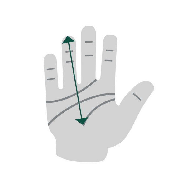 Pickleball Paddle Buying Guide